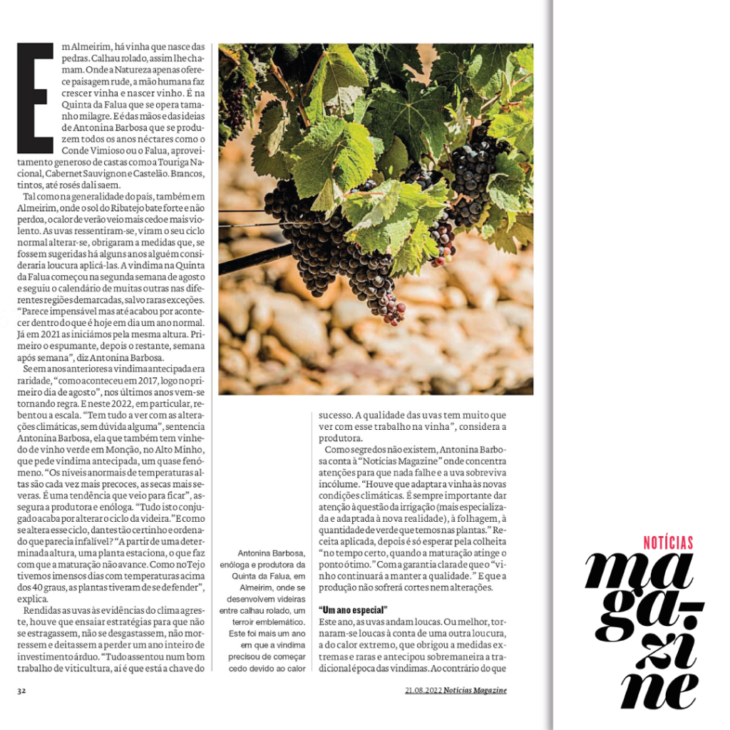 Falua – Wines from Portugal