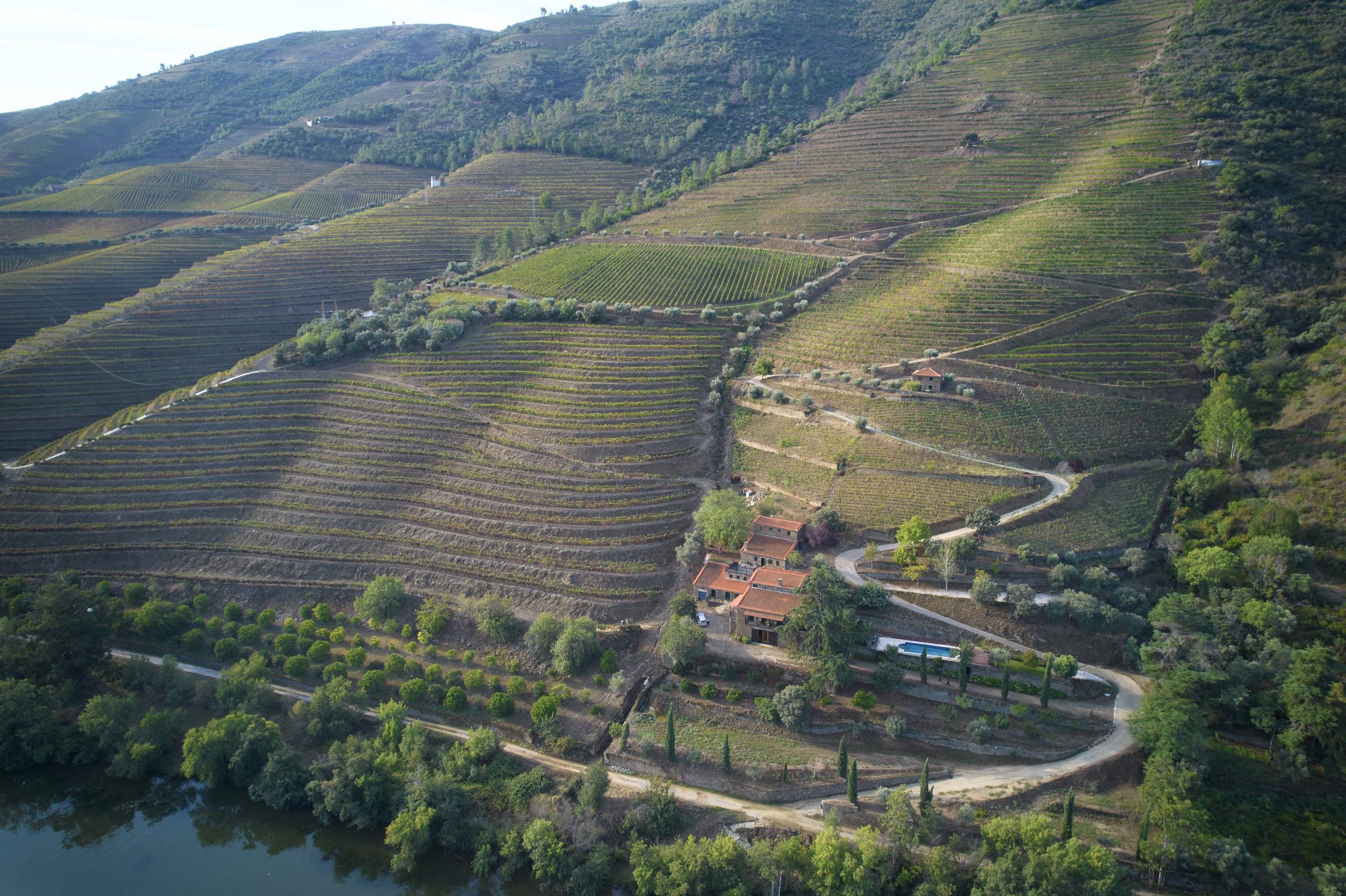 Douro - Falua